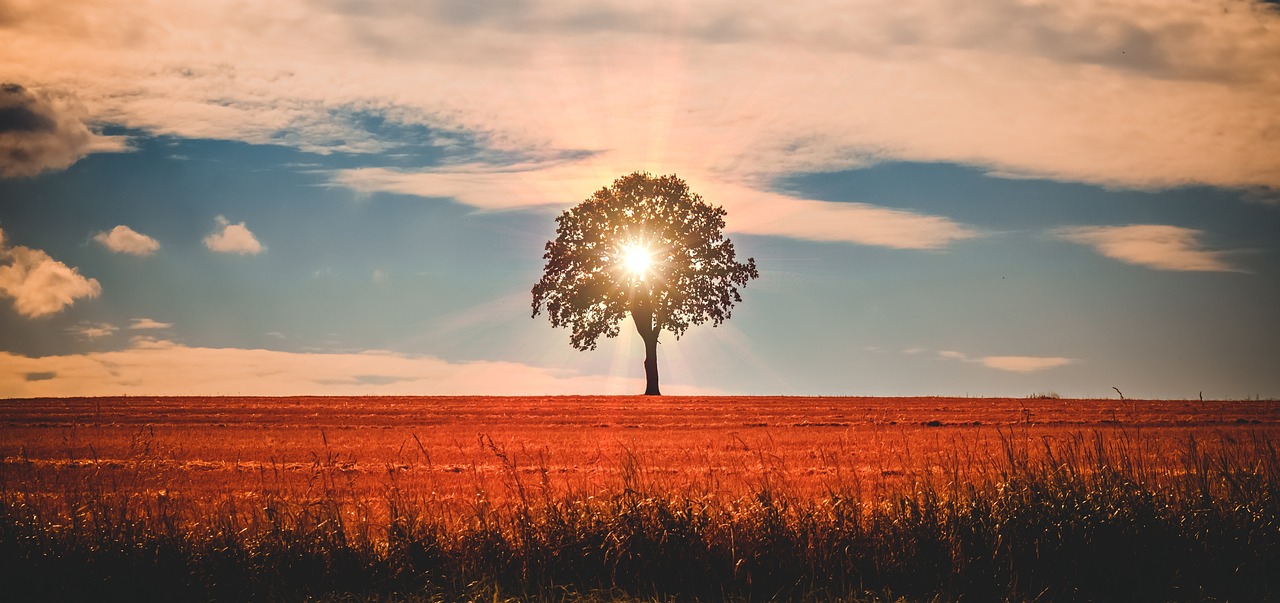 The Messenger Muhammad | The Messenger Muhammad